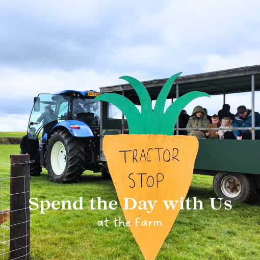March House Farm Shop, Leicestershire and Rutland – Sustainably farmed ...